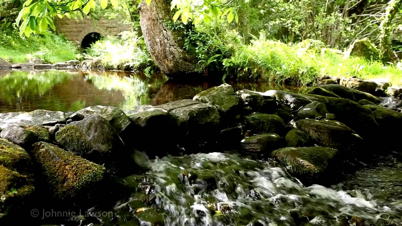 RELAXATION Amazing Choir Sacred Chant Medieval Polyphony Song Tranquil ...