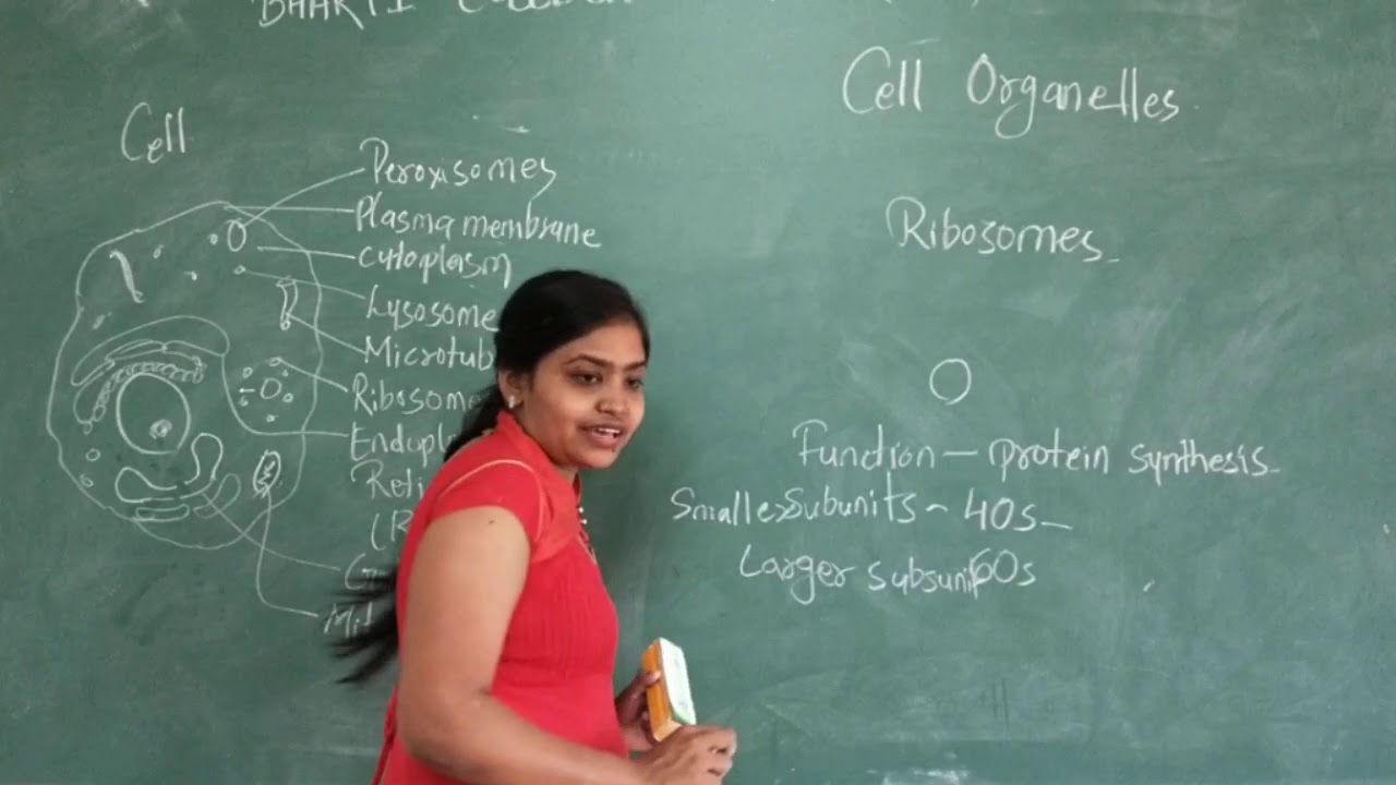 Cell Organelles by Ms. Deepika Sahu - YouTube