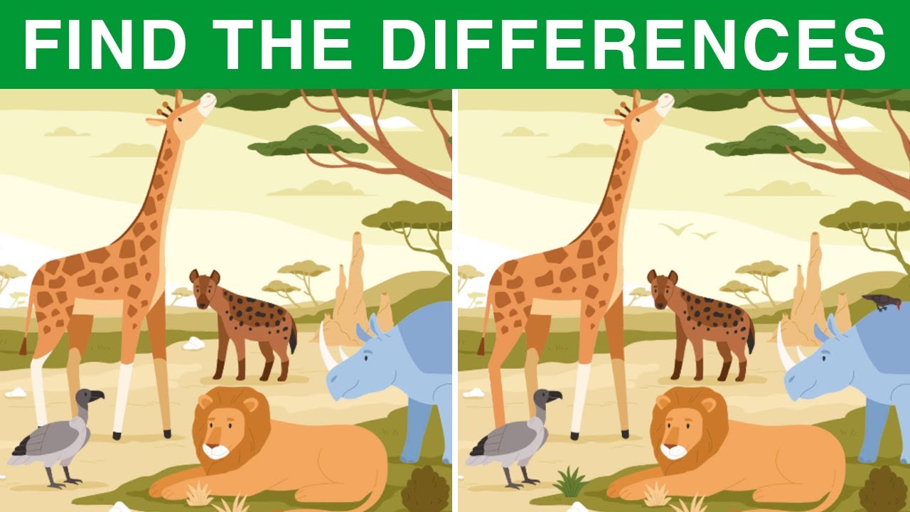 Spot The Difference | Challenge 28 - YouTube