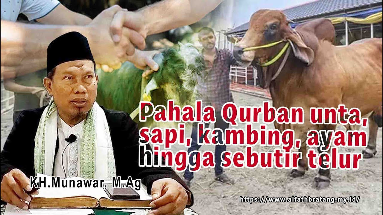 Pahala Qurban unta, sapi, kambing, ayam hingga sebutir telur, oleh KH ...