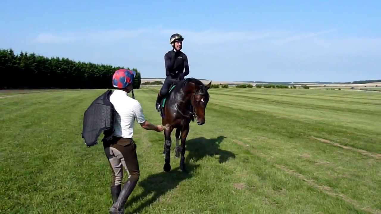 White Diamond Racing - Lambourn Gallops - Phantom Ranch - YouTube