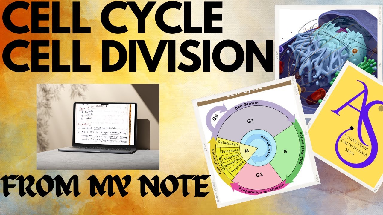Cell cycle //MITOSIS FULL coverage/ LTR//OSSTET //SSD TGT //RHT#JT#SSB ...