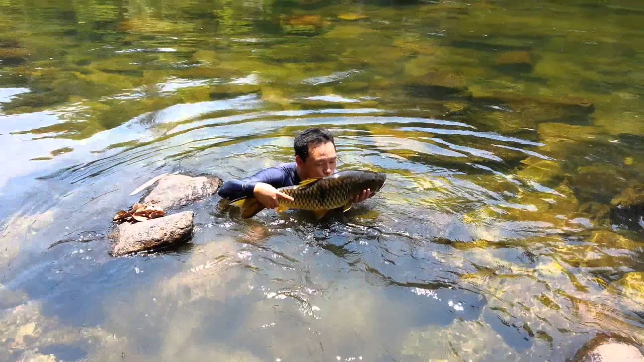 Sebarau 5KG Catch and Release - YouTube