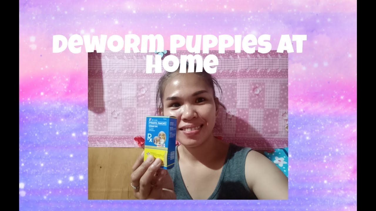 HOW TO DEWORM YOUR PUPPIES AT HOME - YouTube