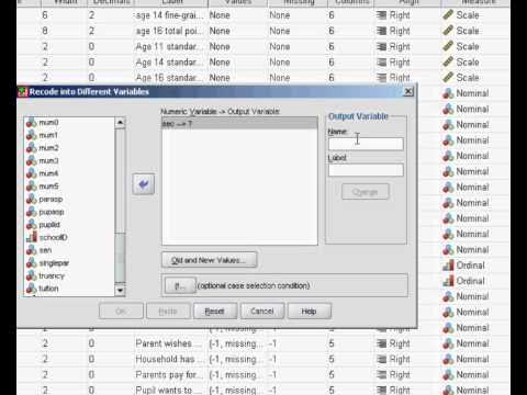 Creating dummy variables for MLR on SPSS - YouTube
