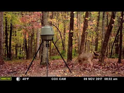 Cox Cam - Nov 9-11 2017 - YouTube