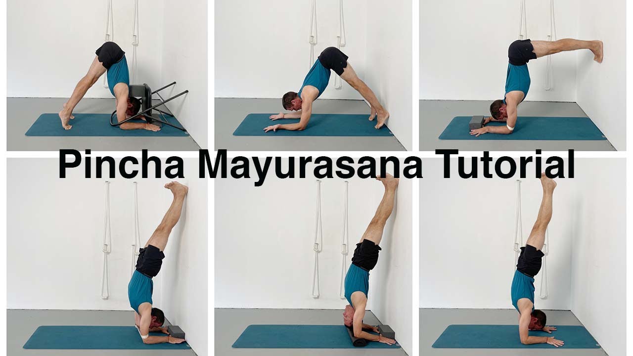 Pincha Mayurasana (Feathered Peacock or Forearm Balance) Tutorial - YouTube