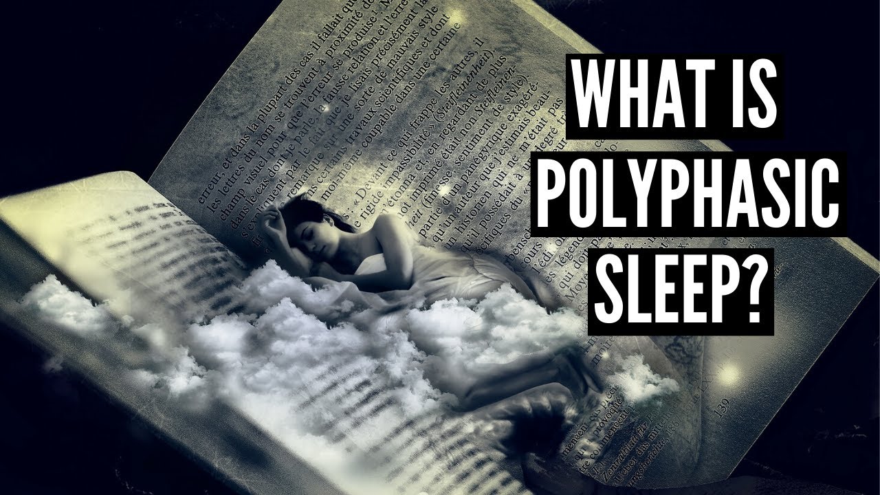 ADOPTING A POLYPHASIC SLEEP CYCLE: what is it and how can it help you ...