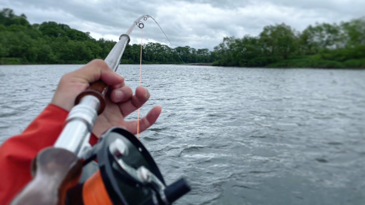 [4K] Teshio river Hokkaido 天塩川 本流レインボー / slow fishing - YouTube