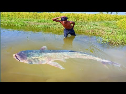 method of catching small fish in shallow water fishing how to fish ...