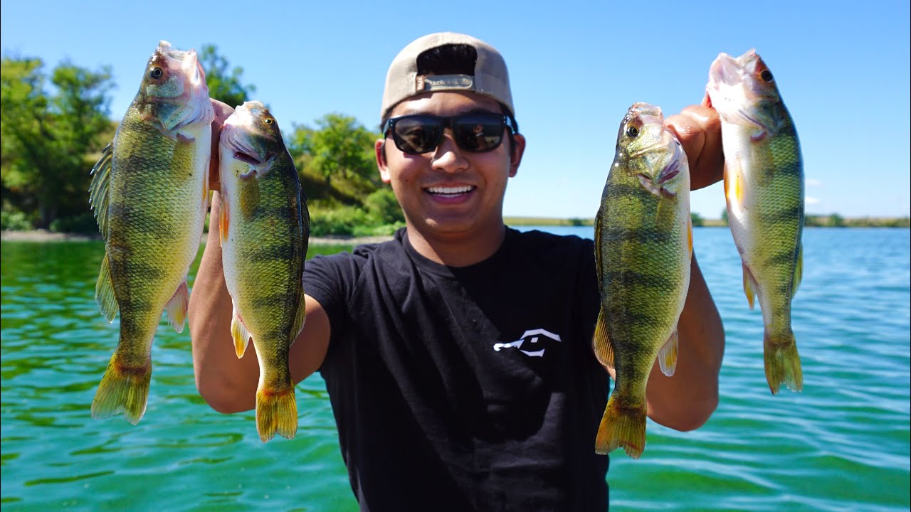 Fall Fishing For JUMBO PERCH! (Catch Clean Cook) - YouTube