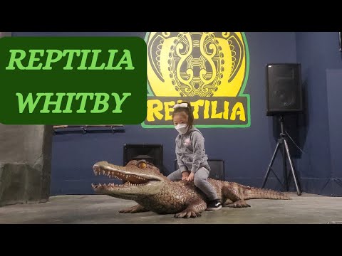 reptilia zoo whitby in 2022 | reptilia toronto - YouTube
