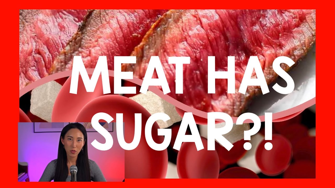 WHY the Carnivore Diet Is a Scam - The Science Explained - YouTube