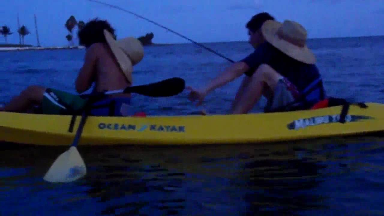 Redfish from Kayak ~ Marathon, Fl - YouTube