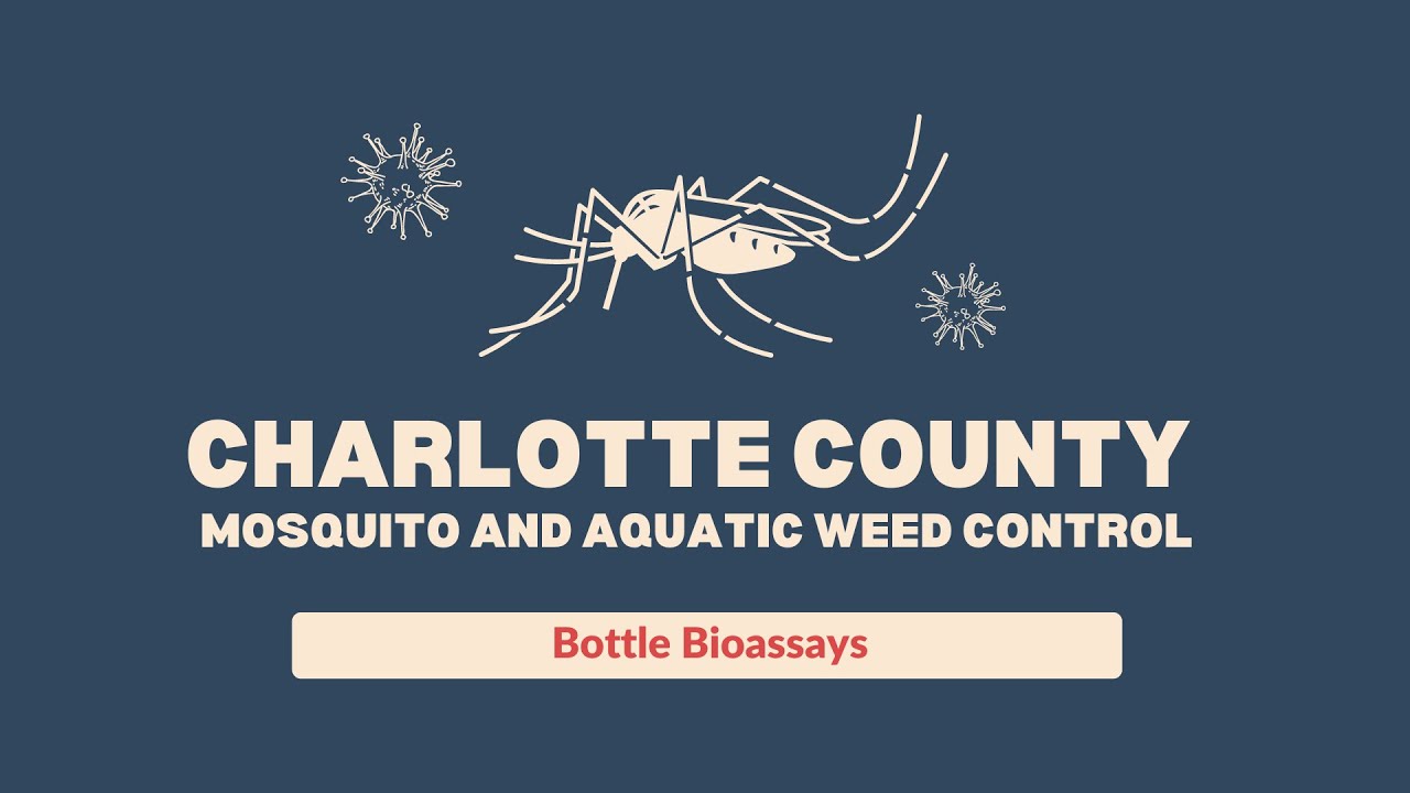 Unveiling Mosquito Control Secrets: Testing Methods and Product ...