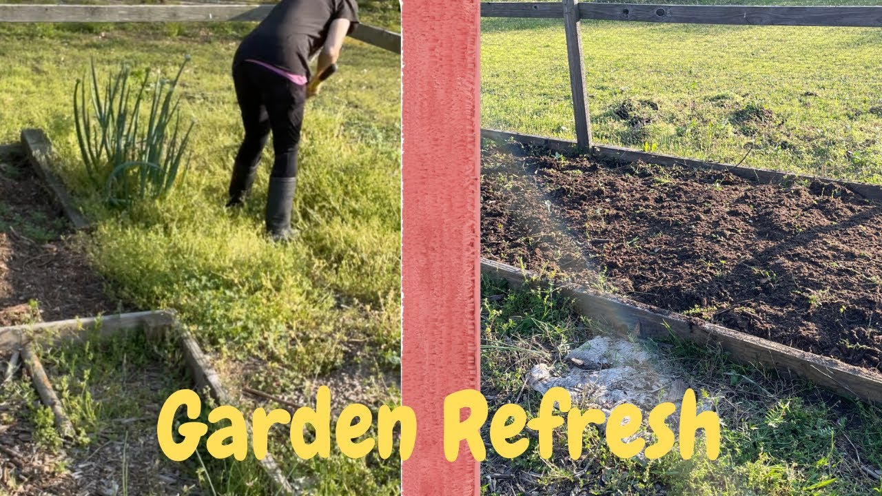 Preparing The Garden and Planting Peas, Carrots, and Spinach - YouTube