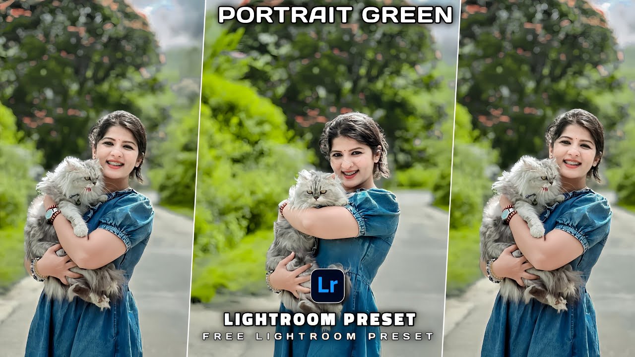 Portrait Green preset | Lightroom free preset | Lightroom green preset | Green preset | - YouTube