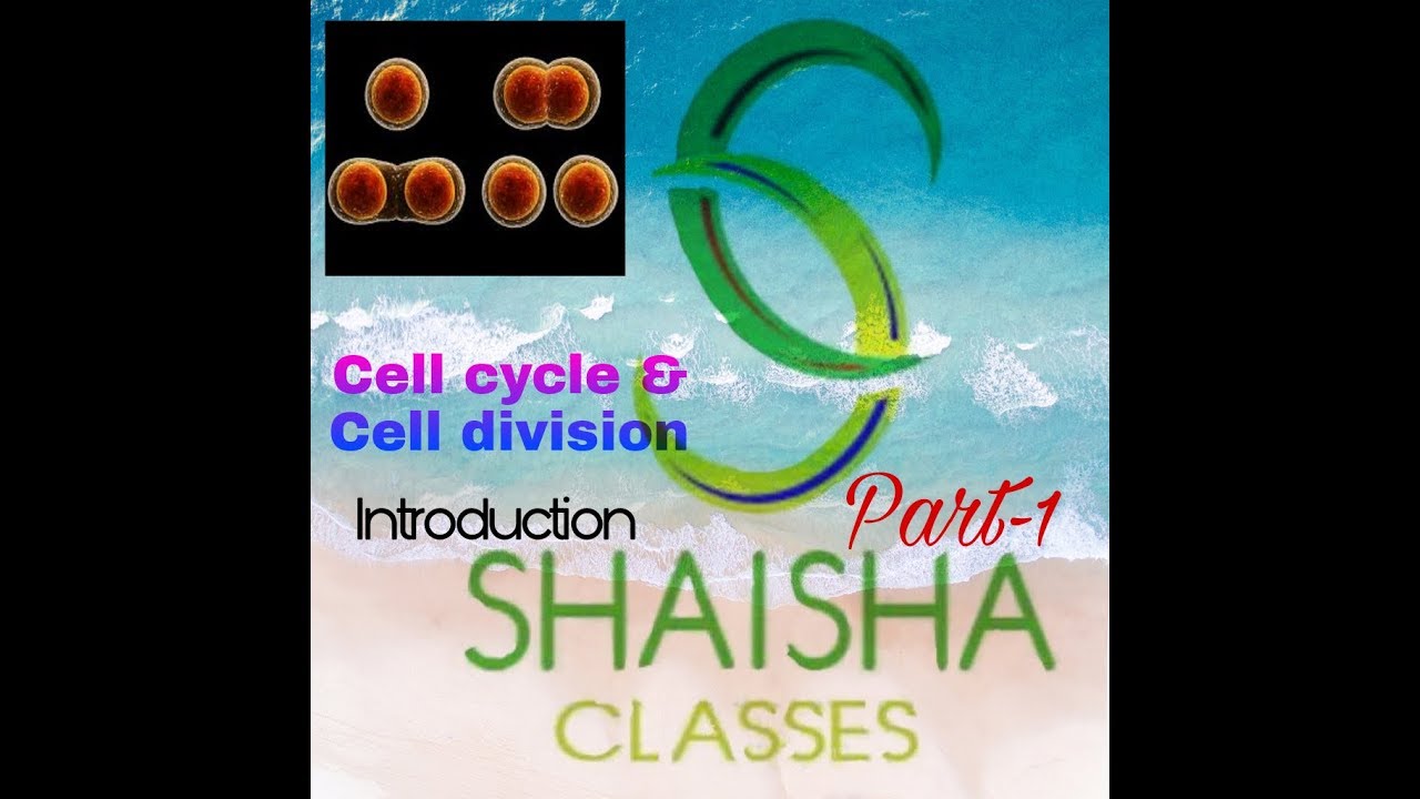 Cell cycle | Cell division. Introduction part 1 - YouTube