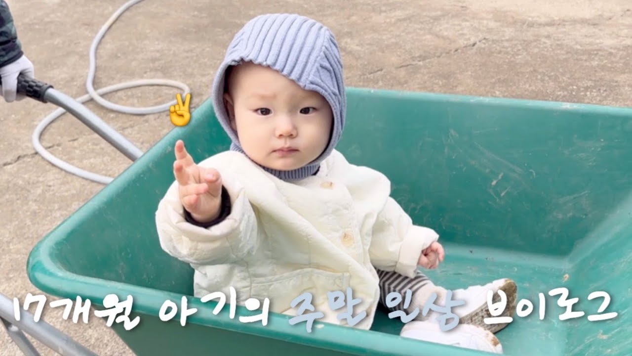 Vlog 육아 브이로그 17개월아기의 주말 일상 브이로그 스트리트 베이비 파이터 👼 시골아기 코스트코 고기 장보기