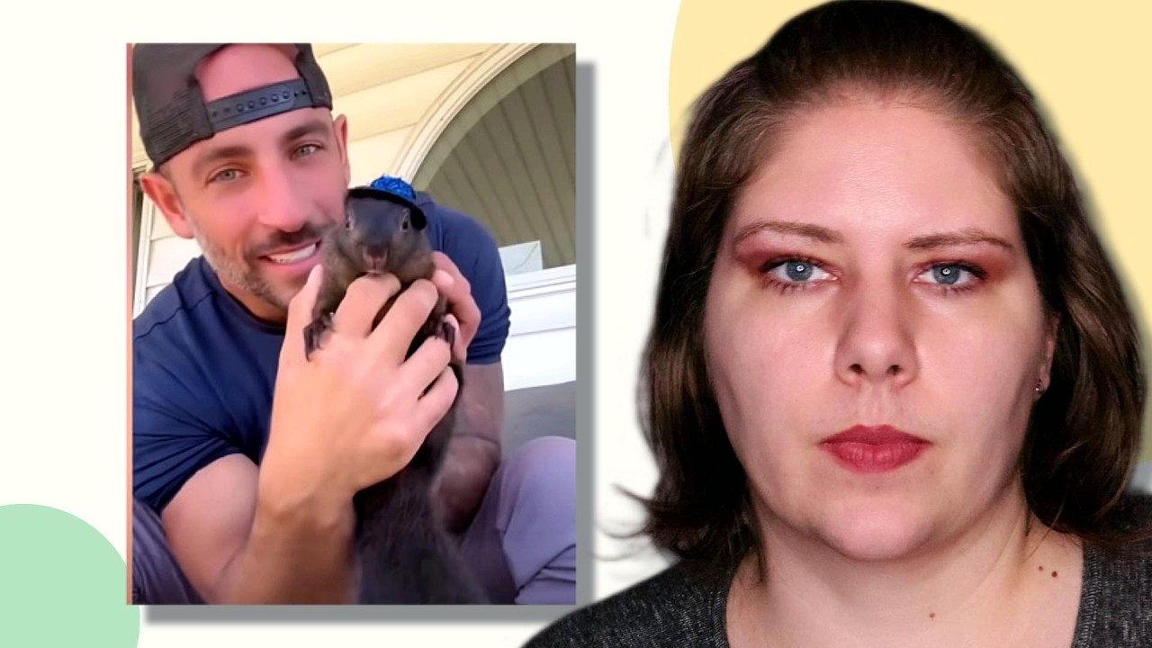 P'Nut the Squirrel's Story | Vet's Perspective - YouTube