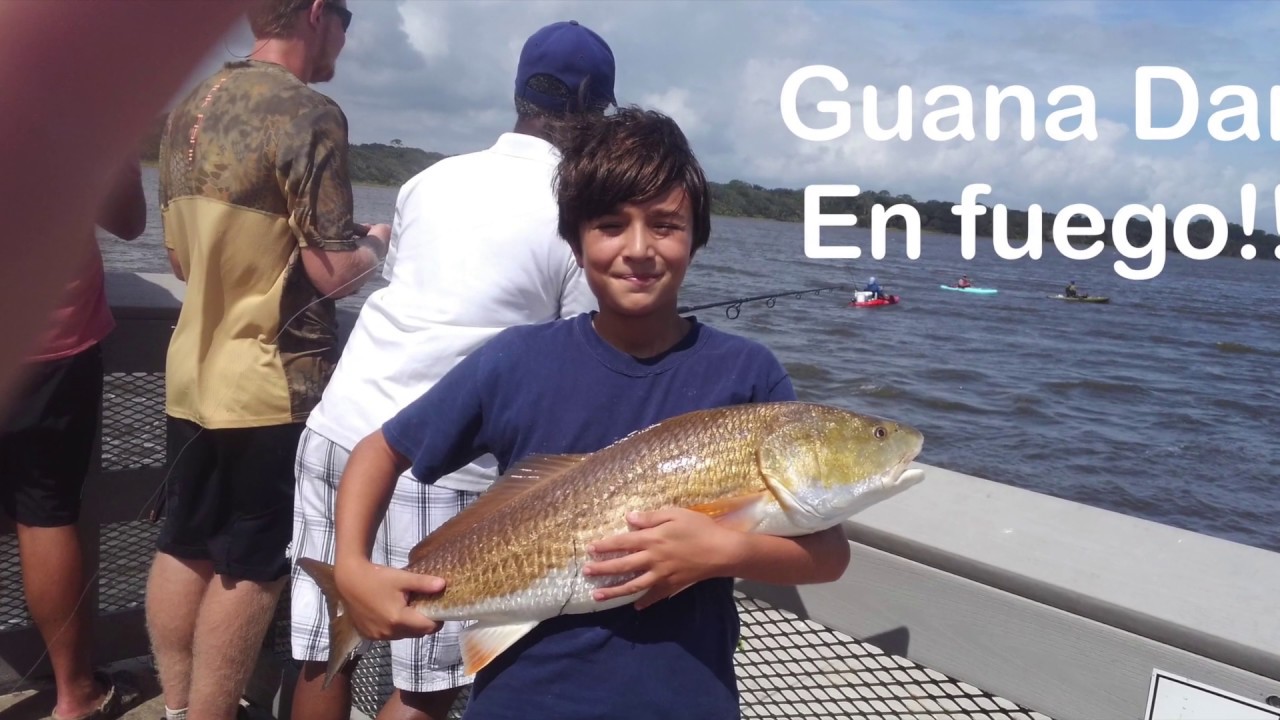 Guana Dam Fishing - Redfish for Everyone! - YouTube