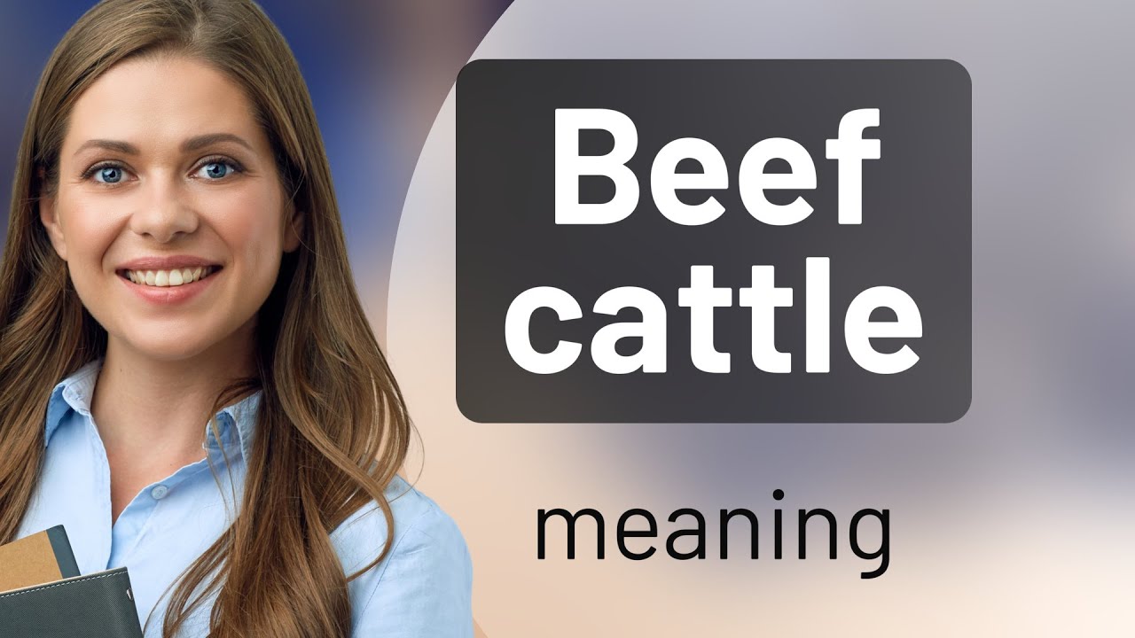 Beef cattle • definition of BEEF CATTLE - YouTube