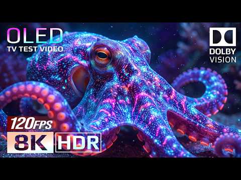 Sualtı Yaşamı Oled Tanıtımı Hdr 8K Ultra Hd Dolby Vision™ 60Fps
