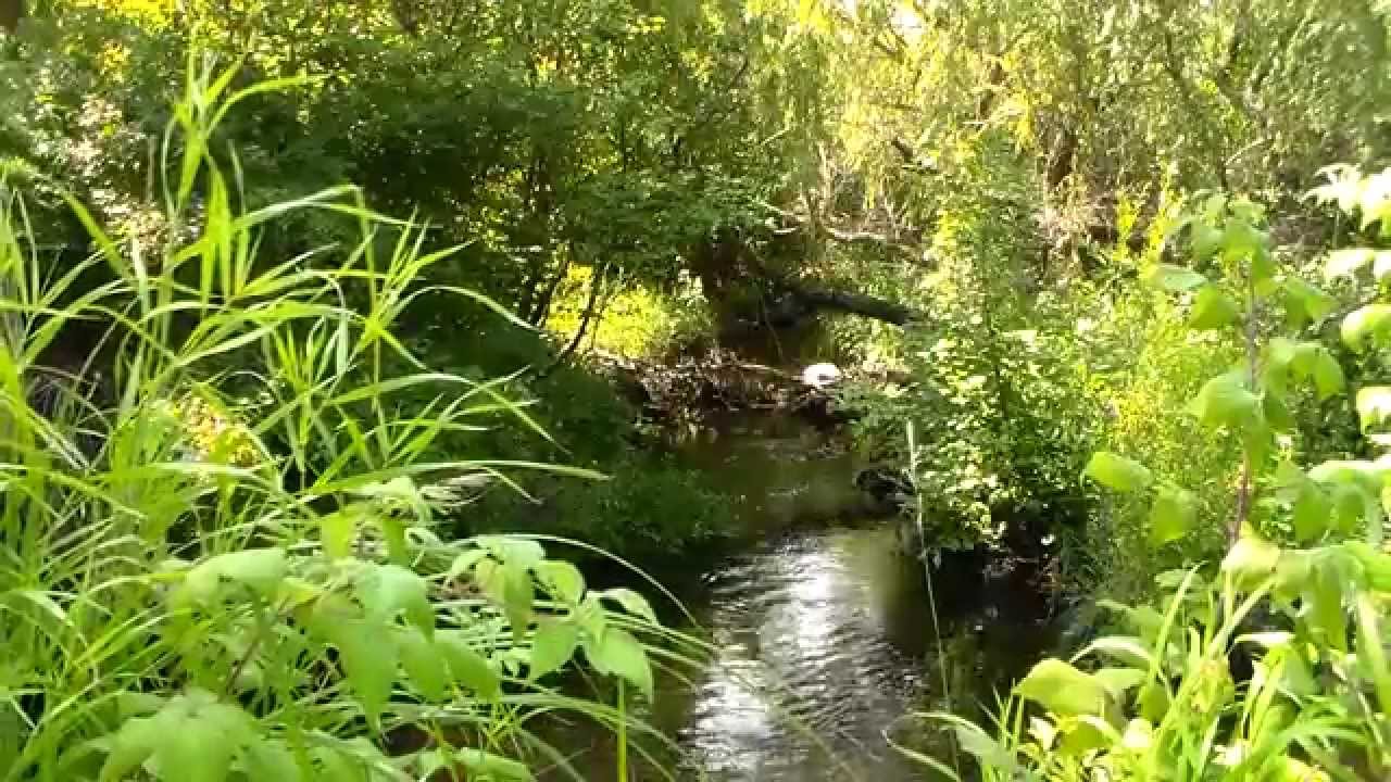 Tying and Fishing a Cinnamon Ant Fly Pattern - YouTube