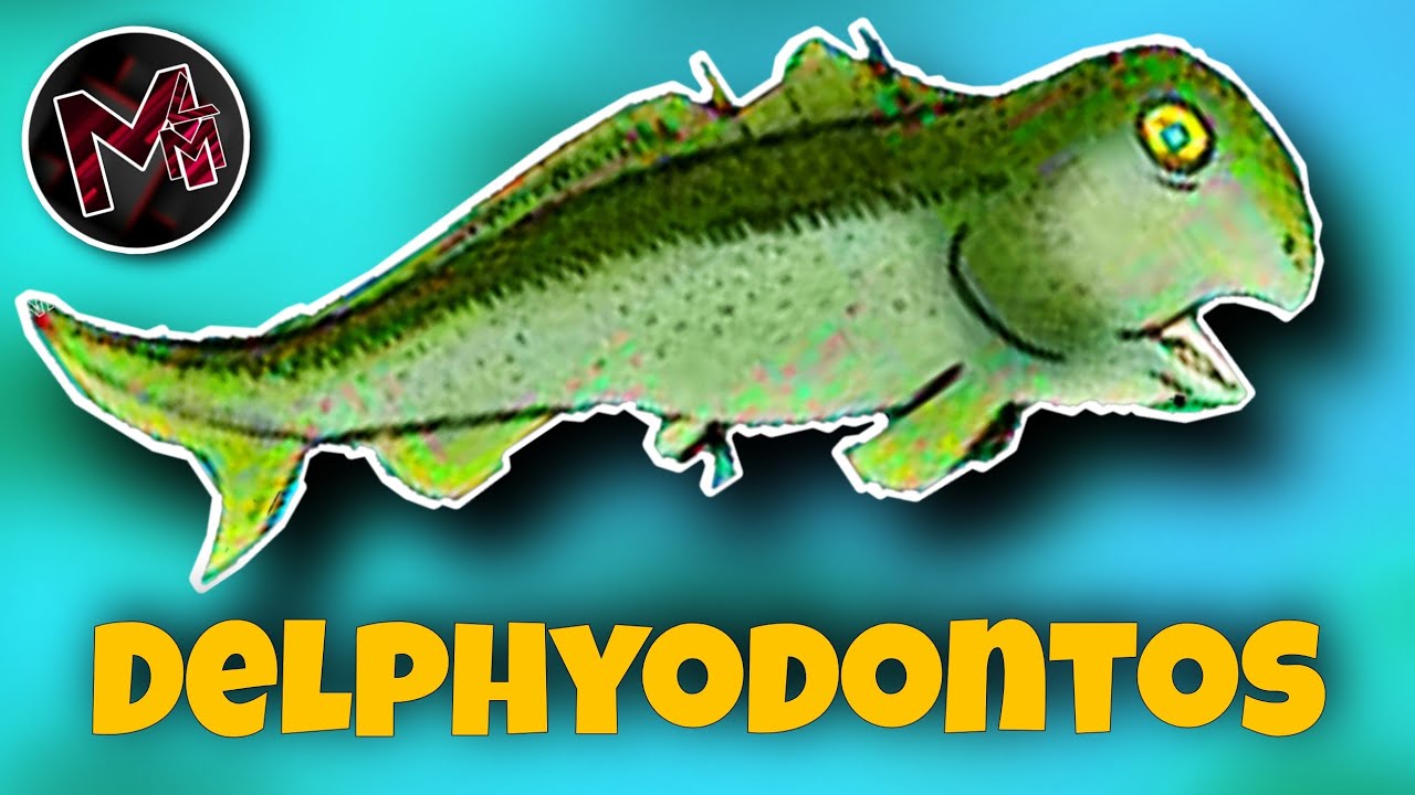 Dente do útero | Delphyodontos - YouTube