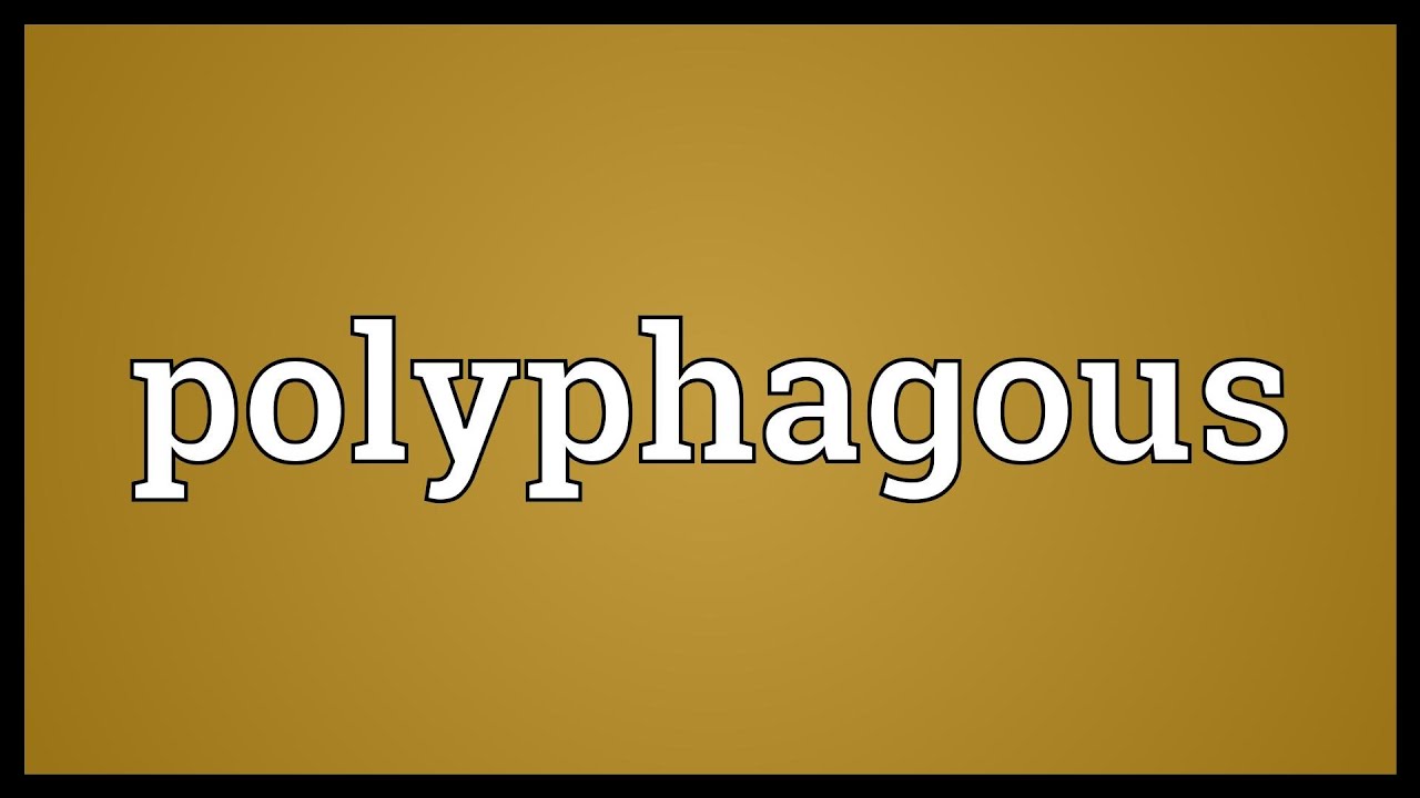 Polyphagous Meaning - YouTube
