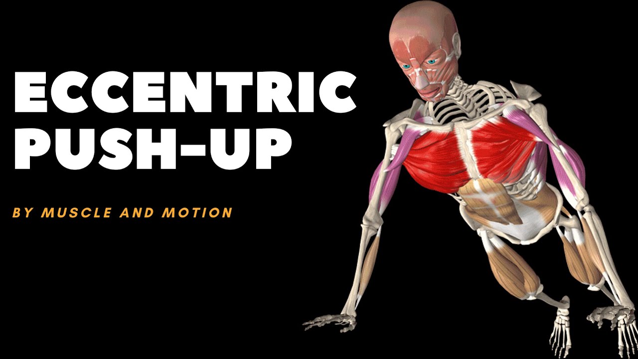 Eccentric Push-up Anatomy Analysis & Common Mistakes - YouTube