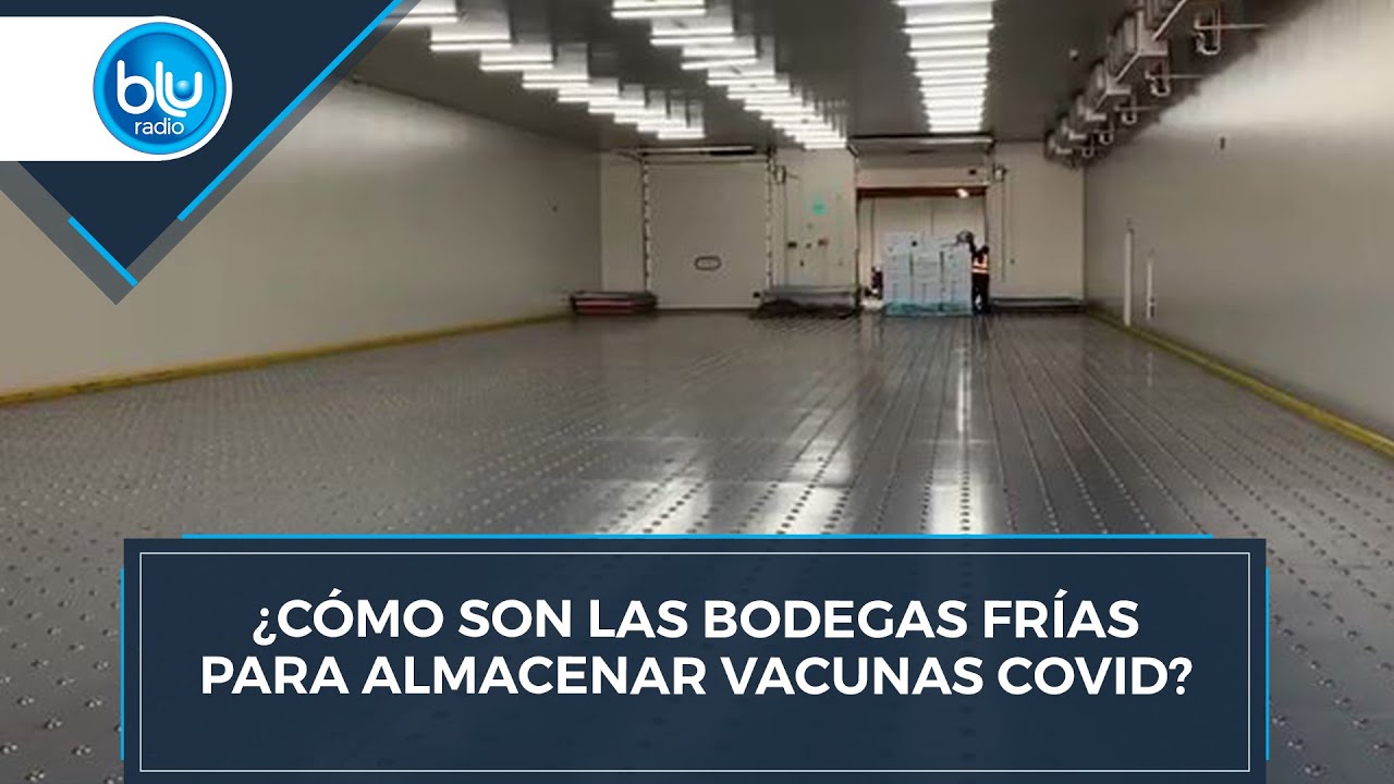 ¿Cómo son las bodegas frías donde se almacenarían temporalmente las ...