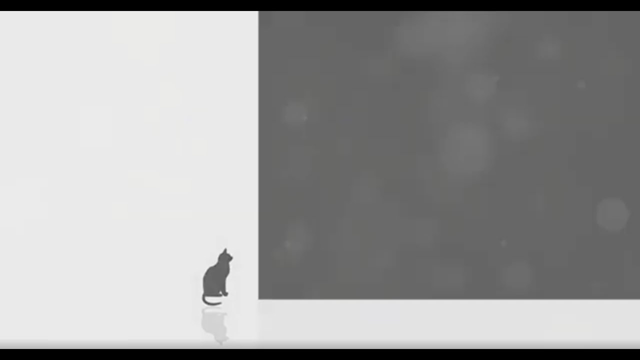 Lonely Cats - A Feline Symphony - YouTube