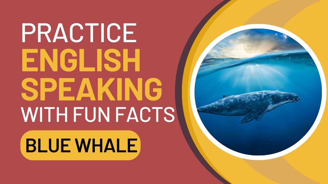 English Speaking Practice with Fun Facts - Blue whales #learnenglish # ...