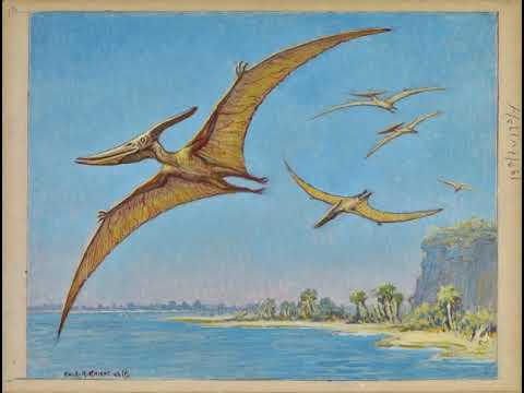 pterodactyl sounds