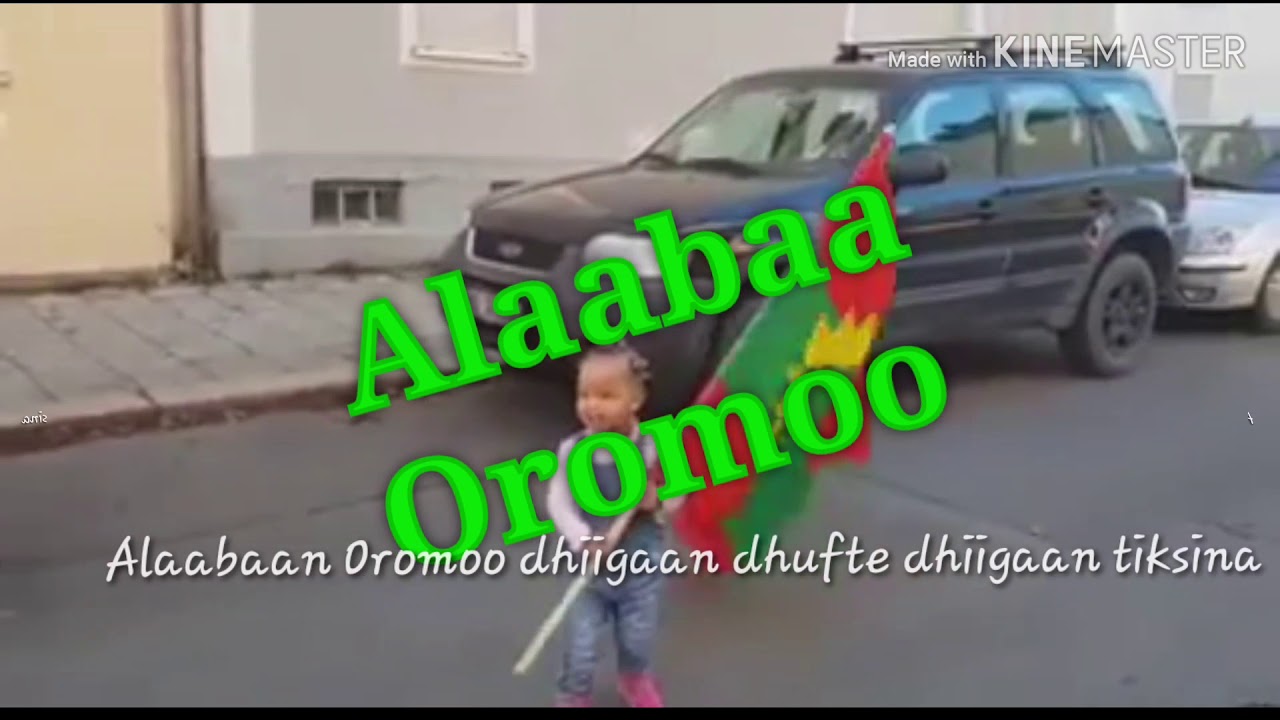 Jaalala Alaabaa Oromootiif daa'imman qaban ilaalaa - YouTube