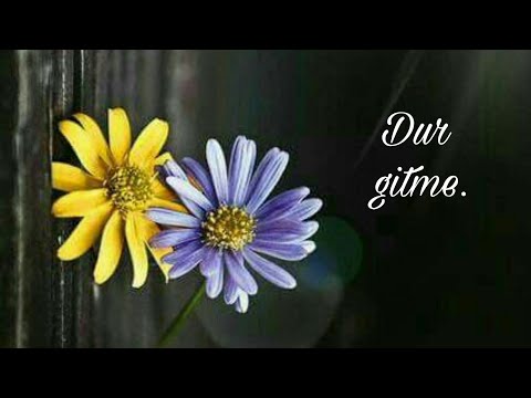 Dur gitme. Herkesi duygulandıracak, hüzünlü bir fon müziği.  Piyano.