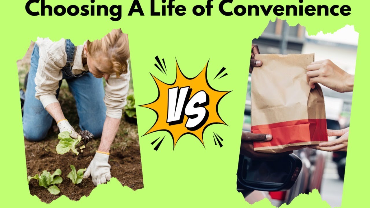 Choosing a Life of Convenience. What Is The Cost? My Homestead Life ...