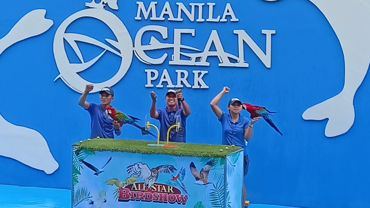 All Star Bird Show || Manila Ocean Park || Ailyn samorin - YouTube