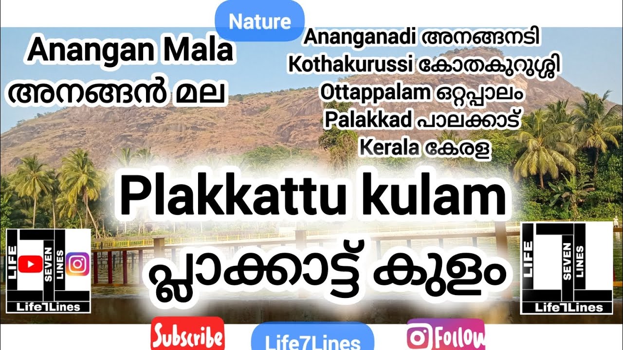Plakkattu Kulam പ്ലാക്കാട്ട് കുളം | #travel #traveling #travelvlog ...