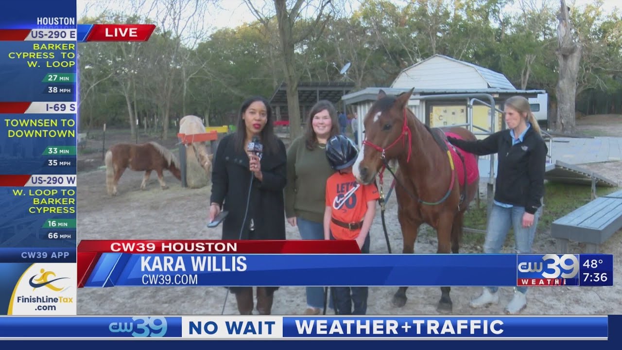 Special Cheers offers occupational therapy through horses for special ...