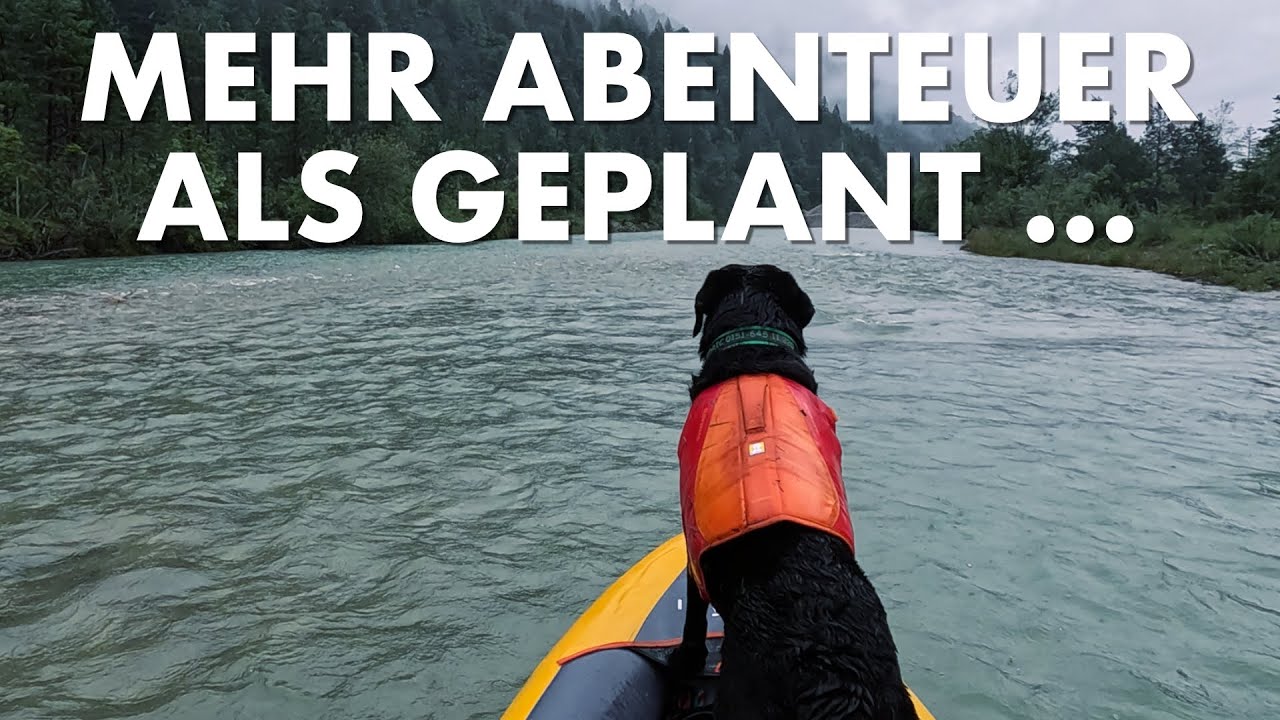 Cedric der Labrador - 274 | Mehr Abenteuer als geplant ... - YouTube