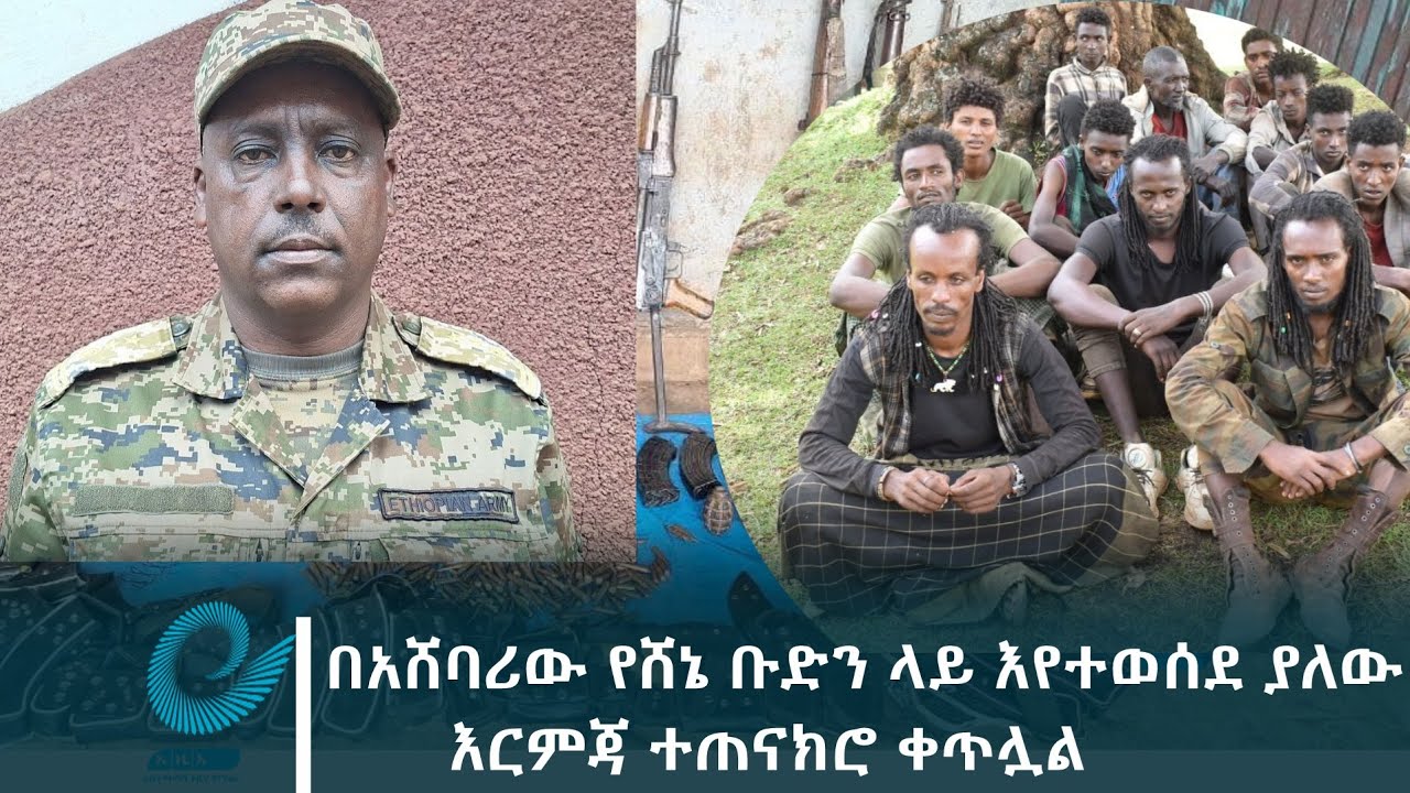 በምዕራብ ሸዋ ዞን በአሸባሪው የሸኔ ቡድን ላይ እየተወሰደ ያለው እርምጃ ተጠናክሮ ቀጥሏል Youtube