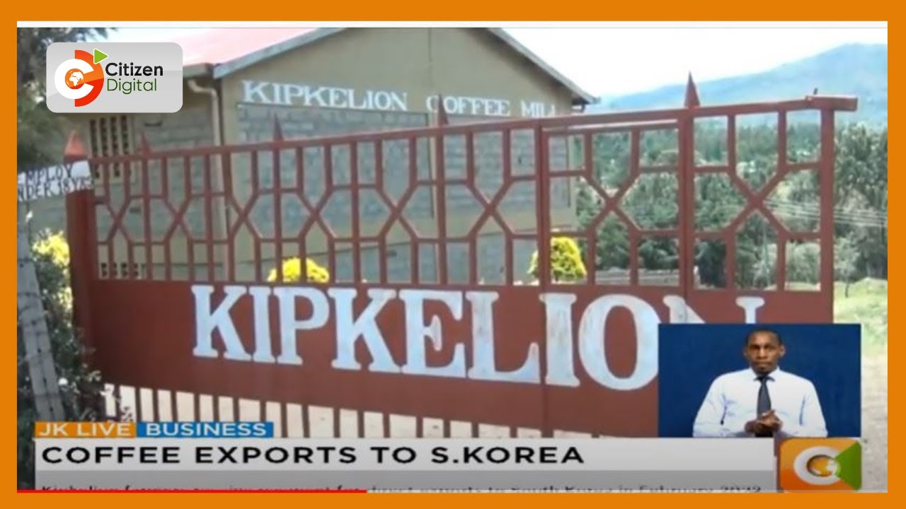 Kipkelion farmers receive payment for direct exports to South Korea in ...