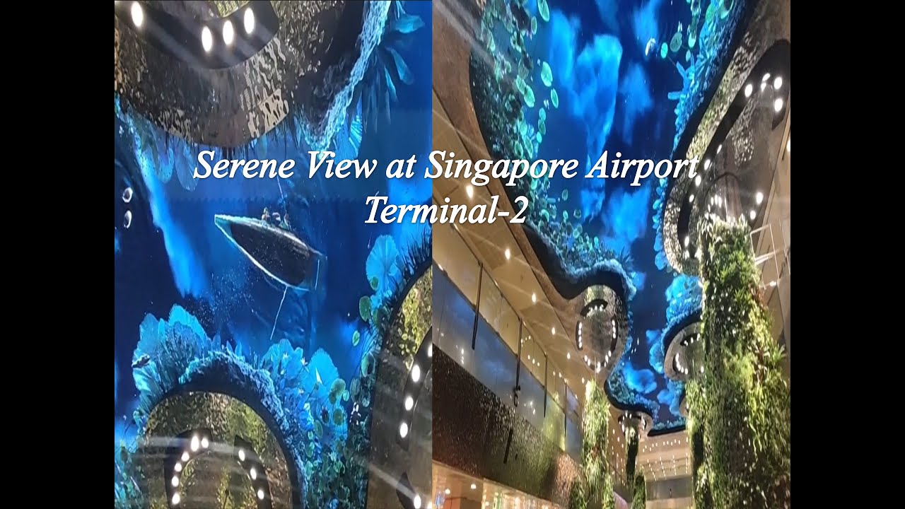 Serene view at the recently opened all-new Terminal-2 of Singapore ...