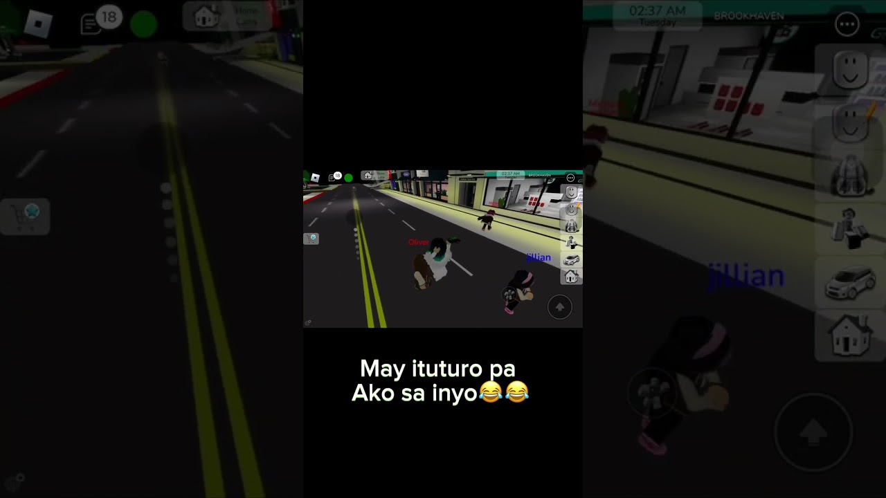 Brookhaven Roblox ( Hayley Stream ) -