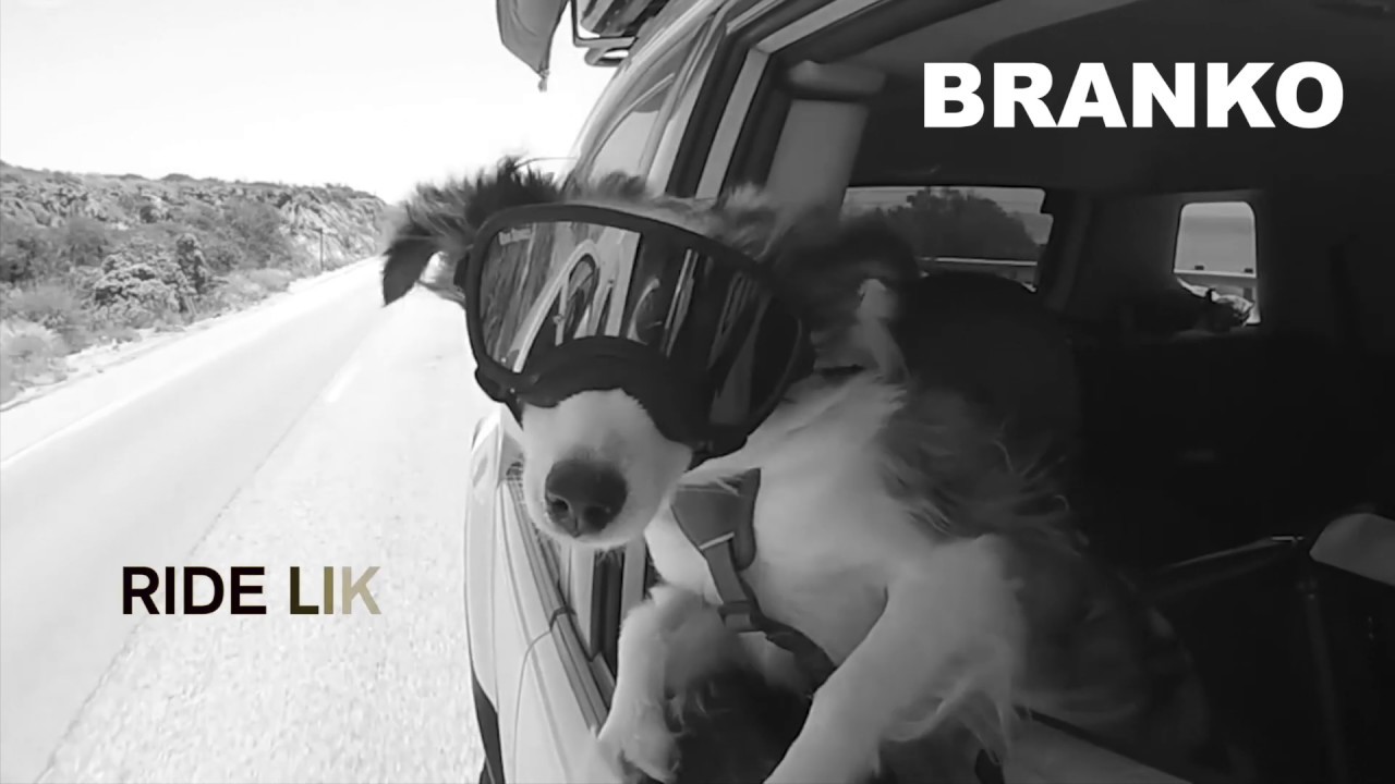 BRANKO - MAGNETIC CAR MOBILE HOLDER - YouTube
