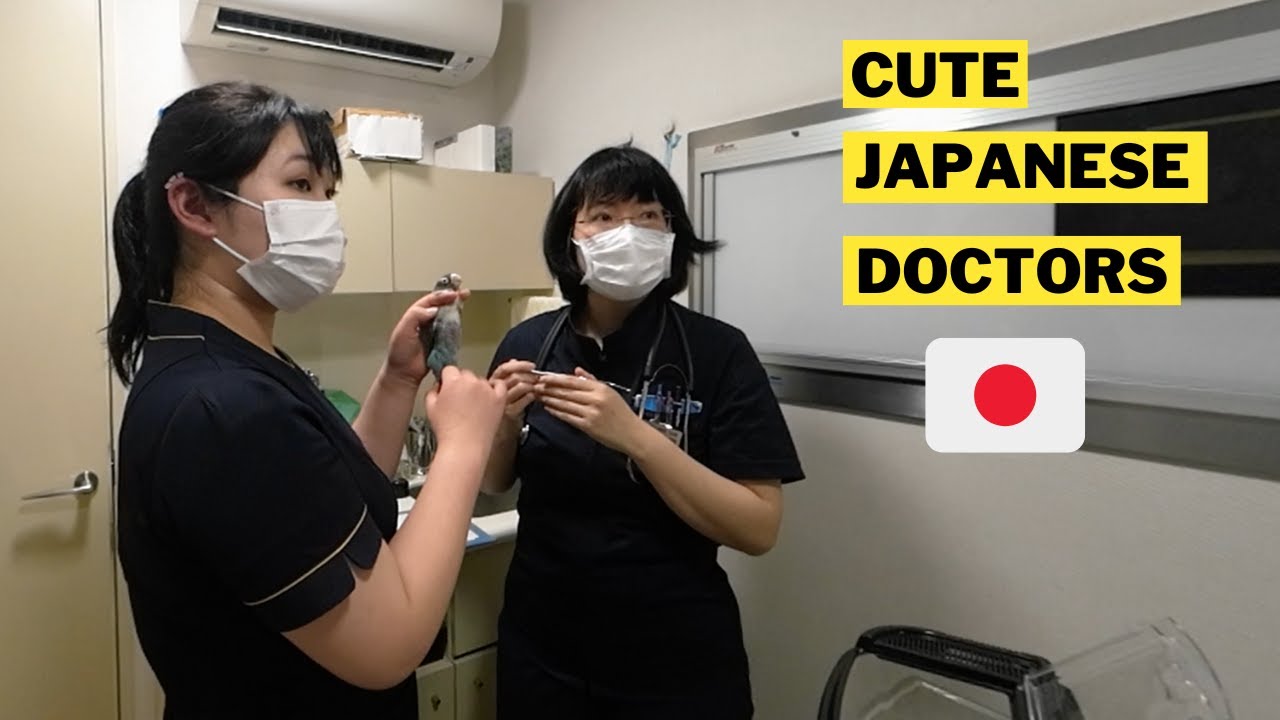 Lulu Ko Ho Gaya Ganda Vala Hair Fall | Indian In japan | Ankit Purohit ...