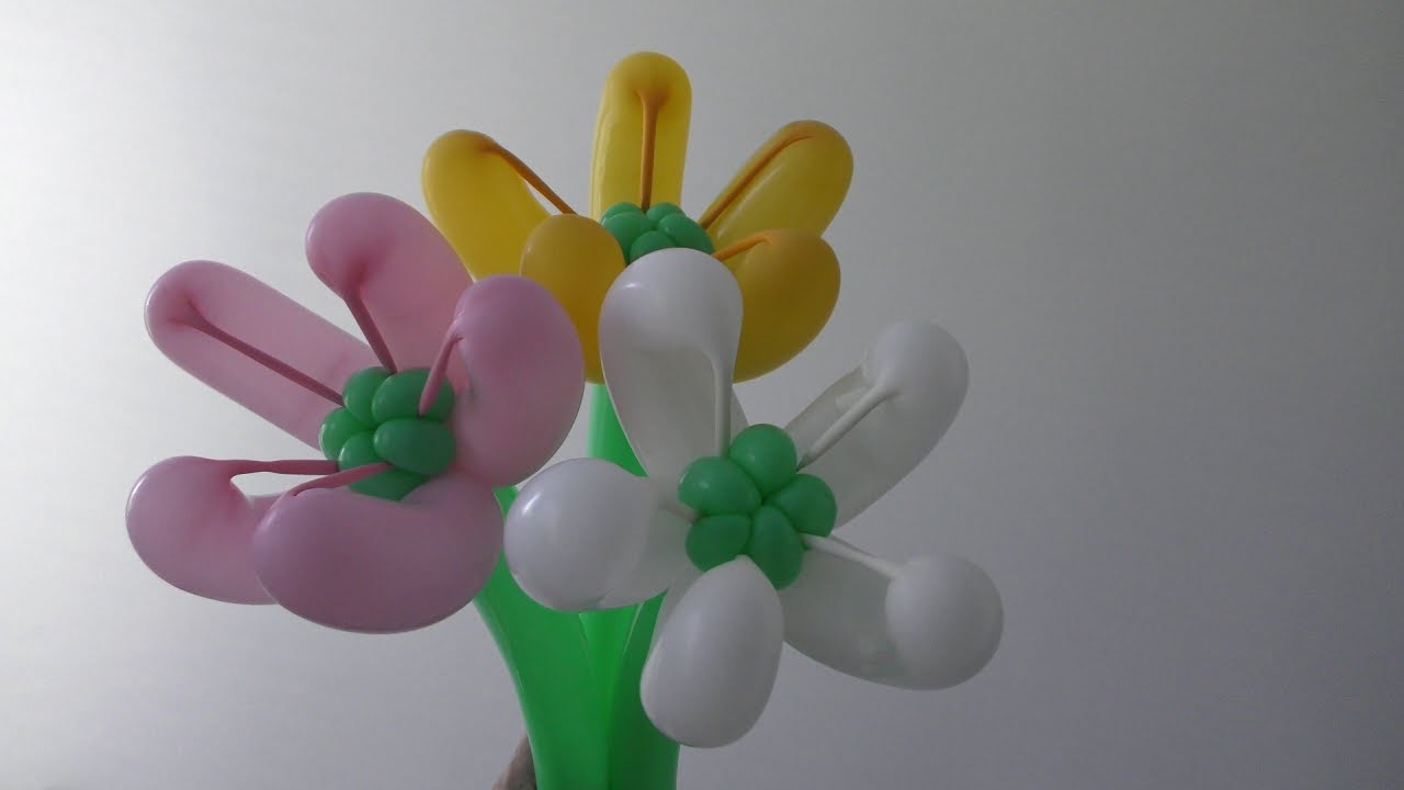 Water Lily Balloon Flower - YouTube