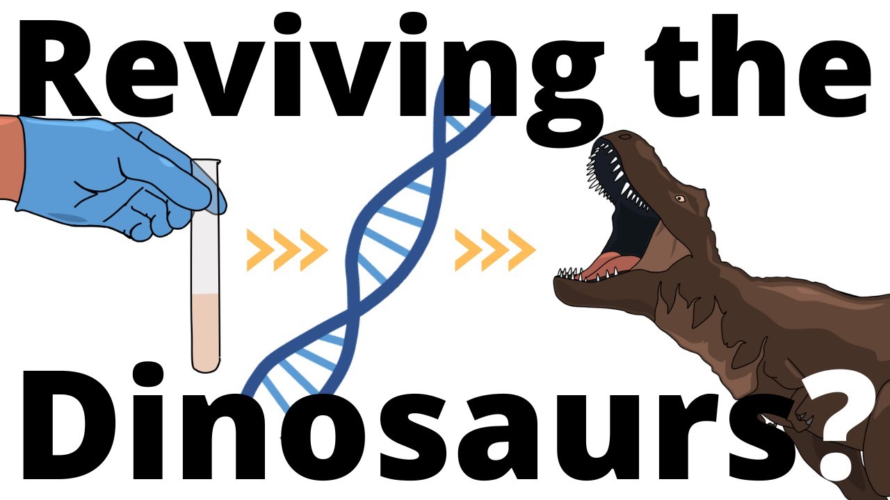Jurassic Park in REAL LIFE? Could we "revive" Dinosaurs? - YouTube